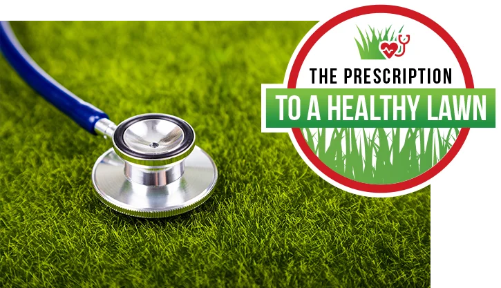 Lawn Care in the Rio Grande Valley | Dr. John's Lawn Prescription LLC